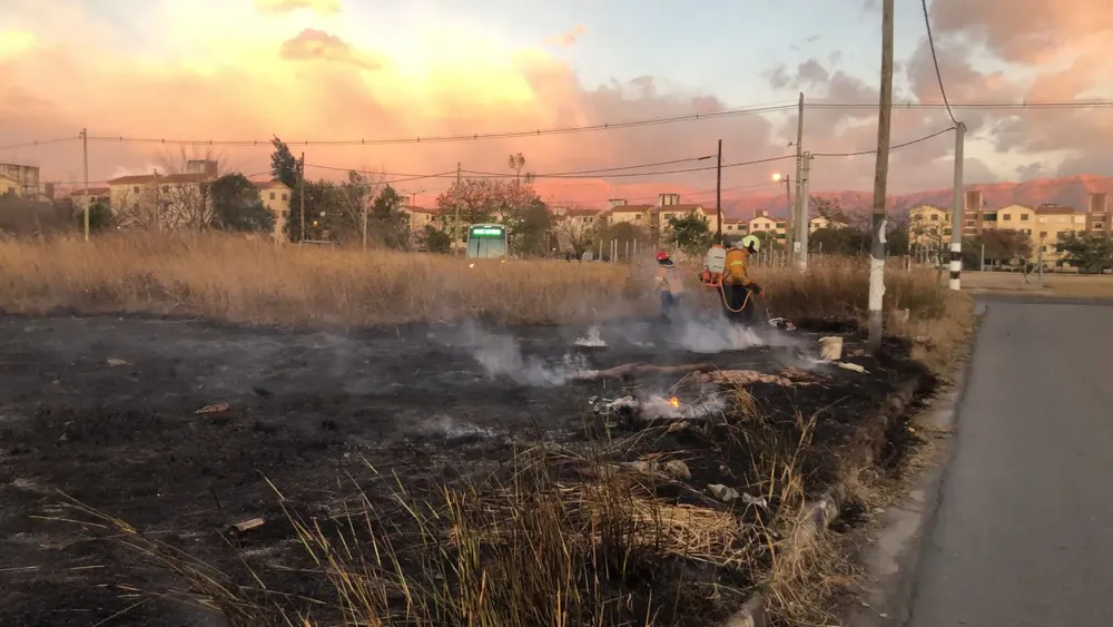 Escándalo en Campo Santo, denuncian a un concejal por chocar, huir y ...